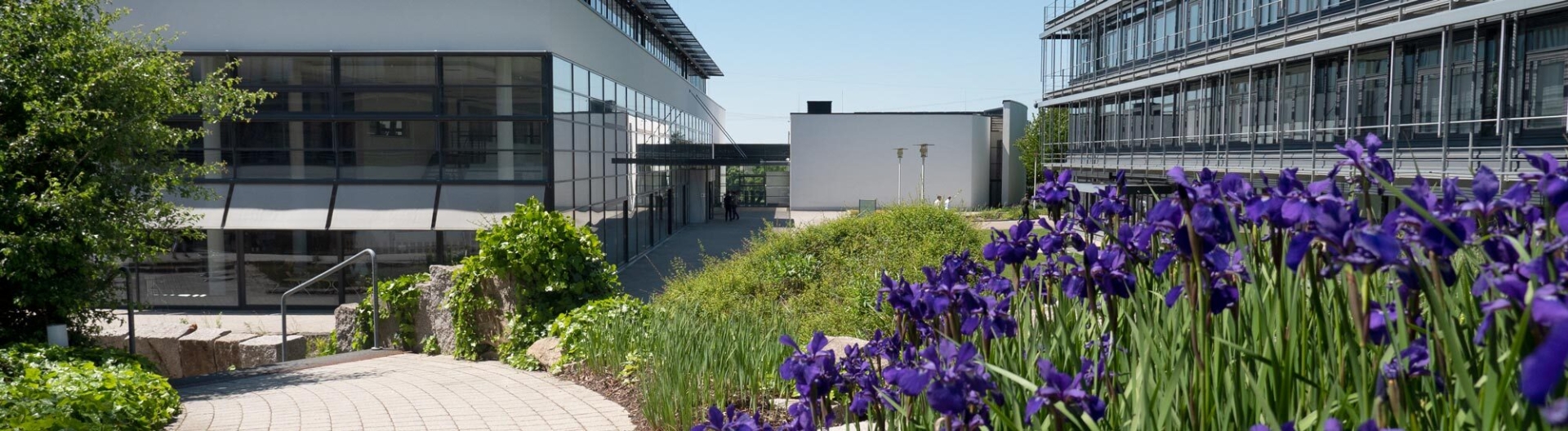 Über MLP | Ihr Gesprächspartner in allen Finanzfragen